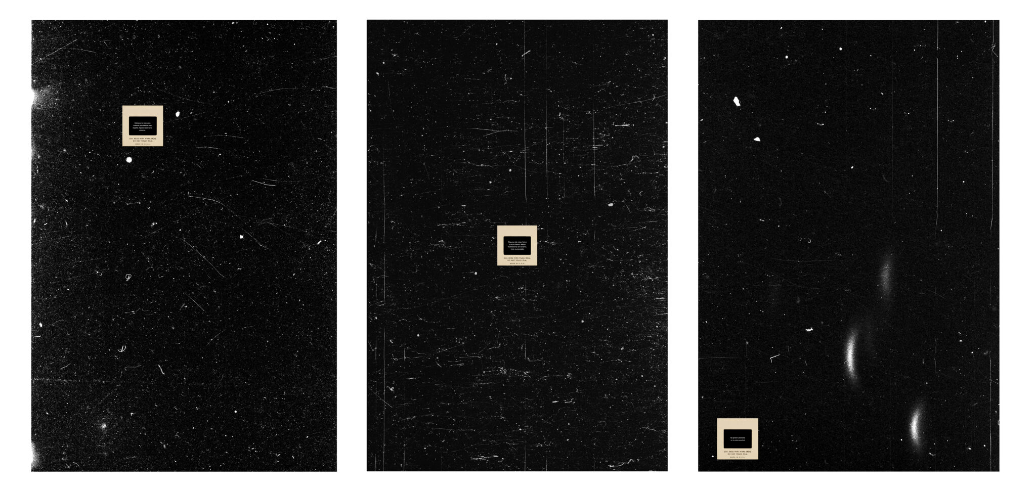 Rojas, Celeste | Colección de Arte Contemporáneo