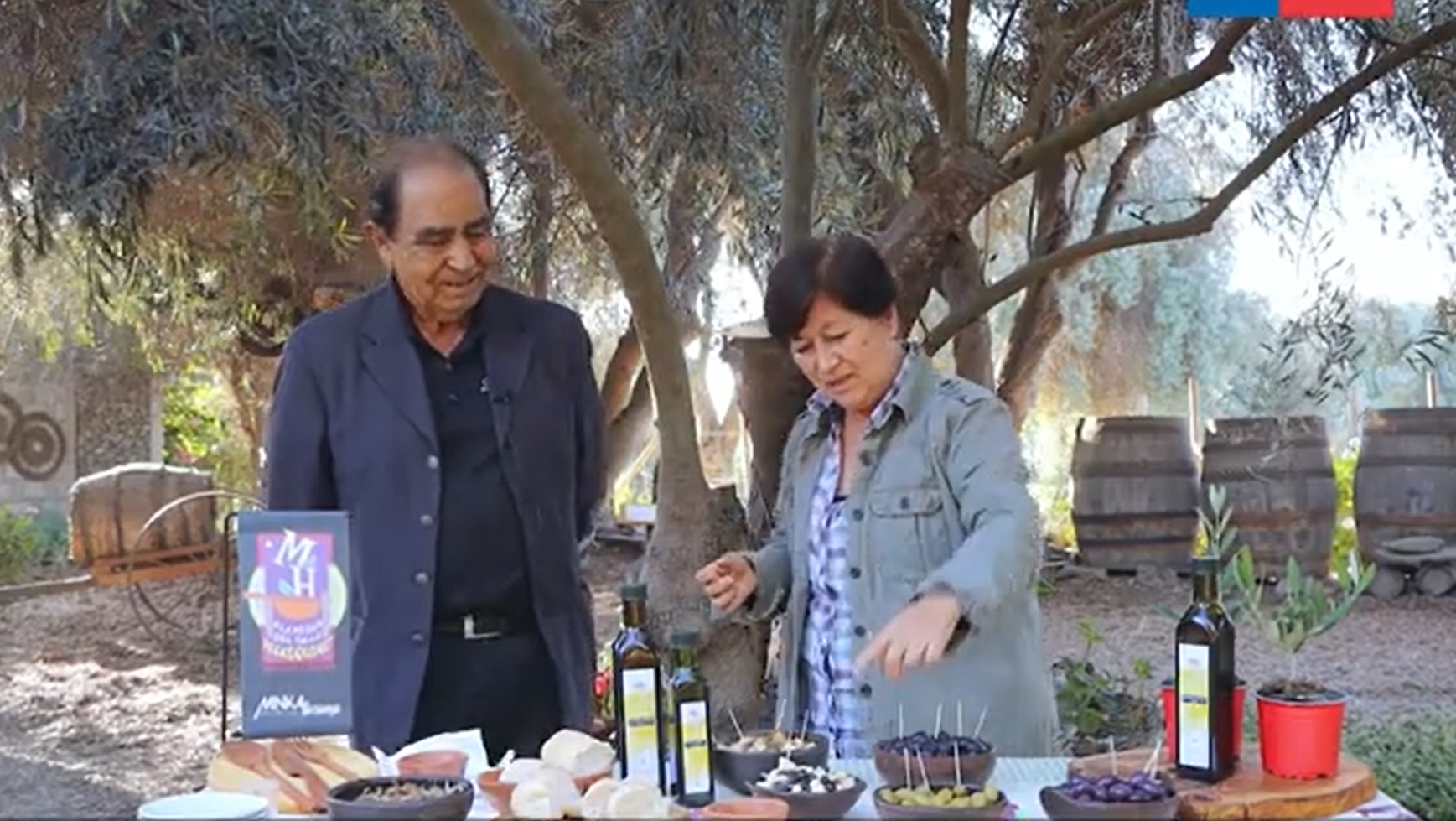 Seremi de las Culturas de Atacama estrena documentales y revista de ...