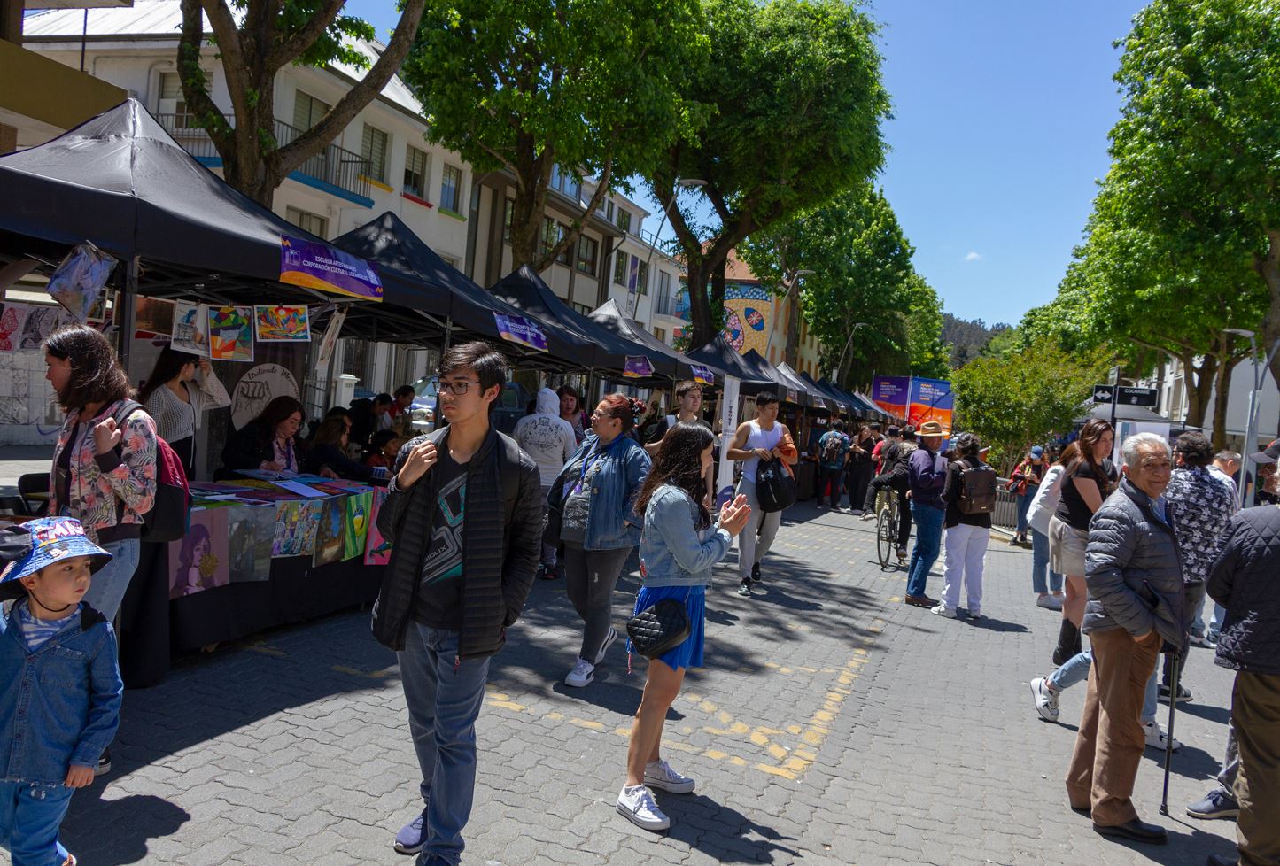 Feria de artes puso en valor saberes y culturas de todo el Biobío ...