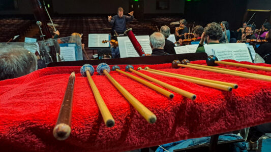 Orquesta de Cámara de Chile estrena la Sexta de Mahler | Ministerio de ...