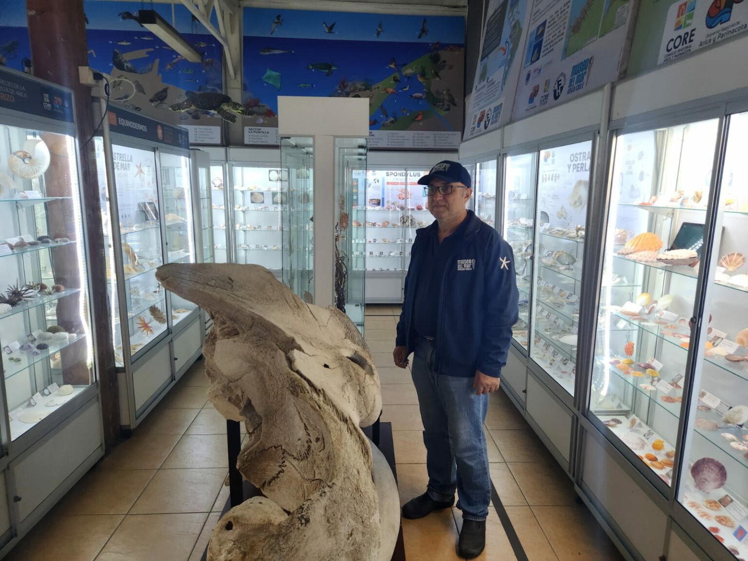 Museo del Mar obtiene el Fondo para el Mejoramiento Integral de Museos ...