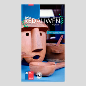 Revista Red Aliwen – Mayo 2025 | Ministerio de las Culturas, las Artes ...